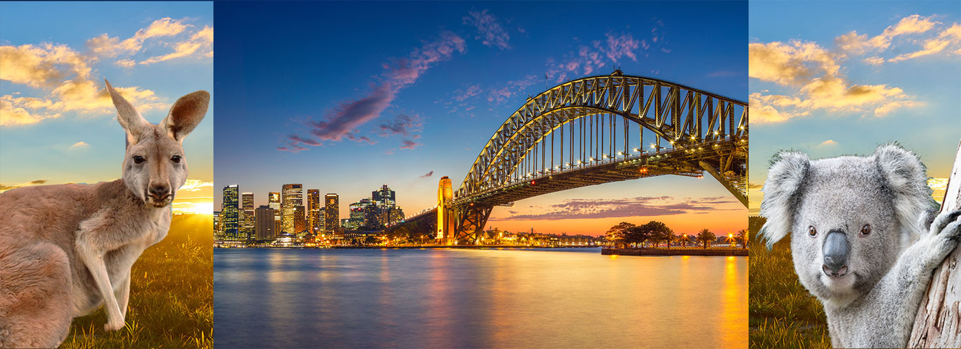 About Us – Trading Tree