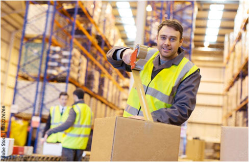 About Us – Trading Tree